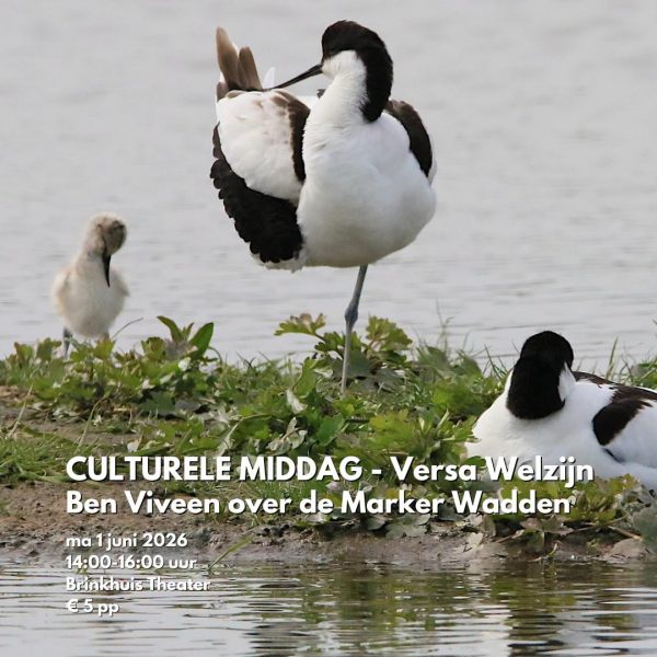 Culturele middag over aanleg Marker Wadden – Bol-An!
